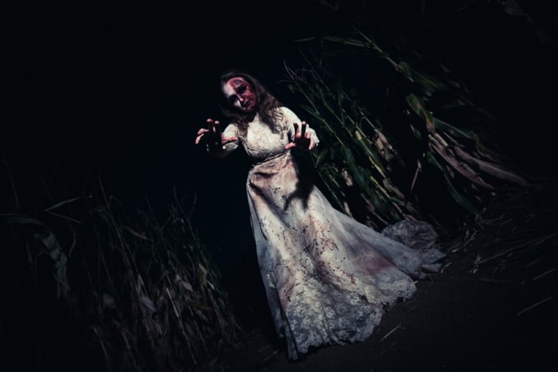 Halloween Drive-Thru Attractions: Thrills & Chills | A Girls Guide To Cars